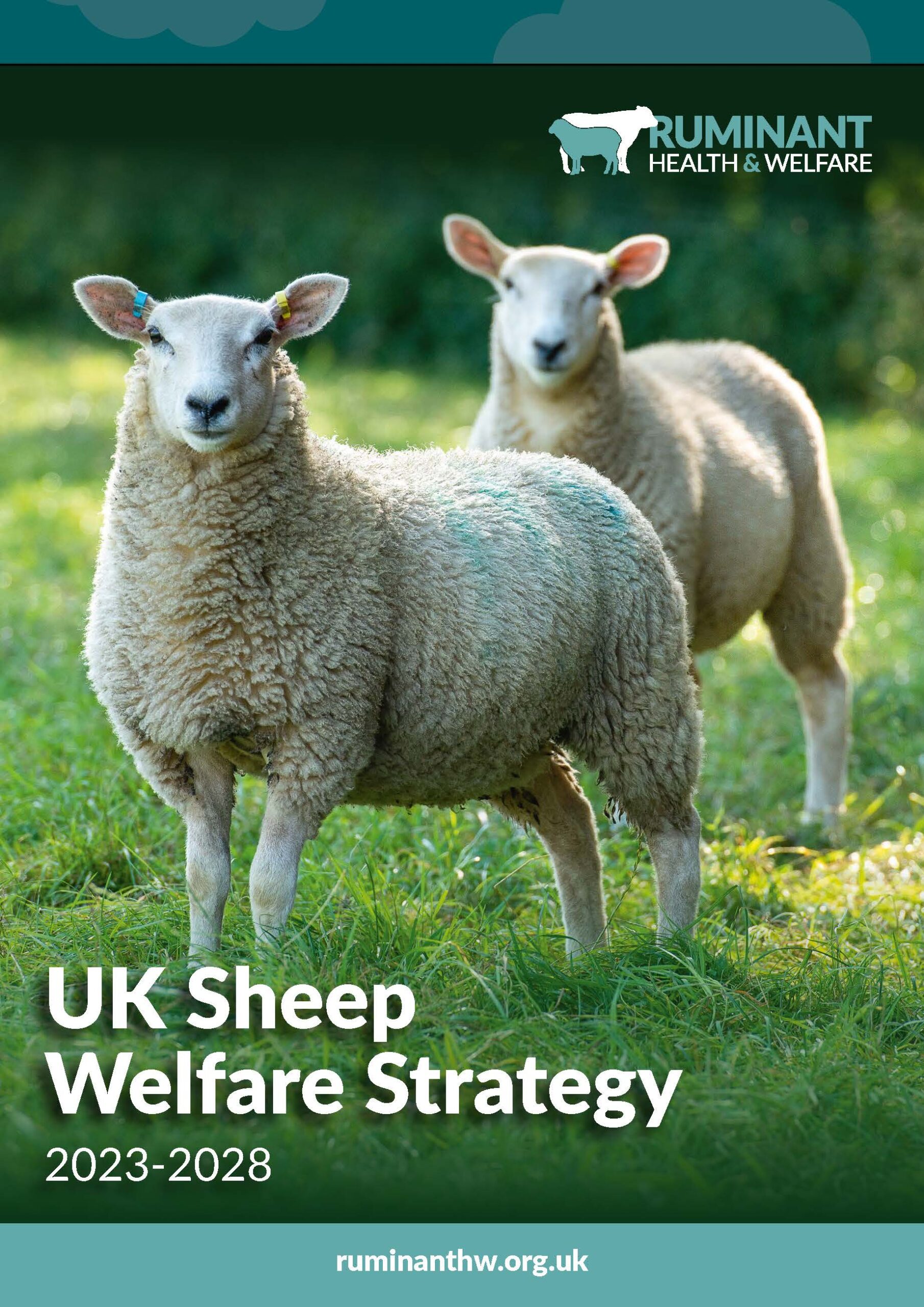 Sheep Welfare Strategy - Ruminant Health & Welfare