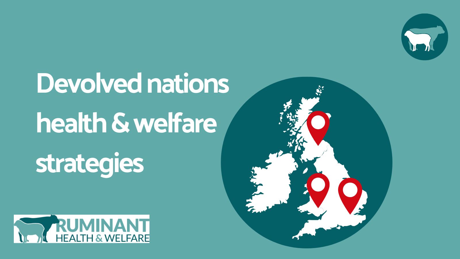 Devolved nations align on Ruminant Health & Welfare goals - Ruminant ...