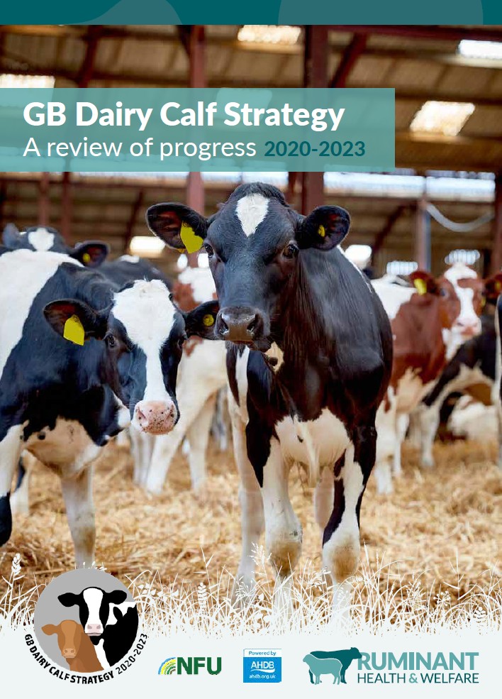 GB Dairy Calf Strategy - review of progress 2020 - 2023 - Ruminant ...