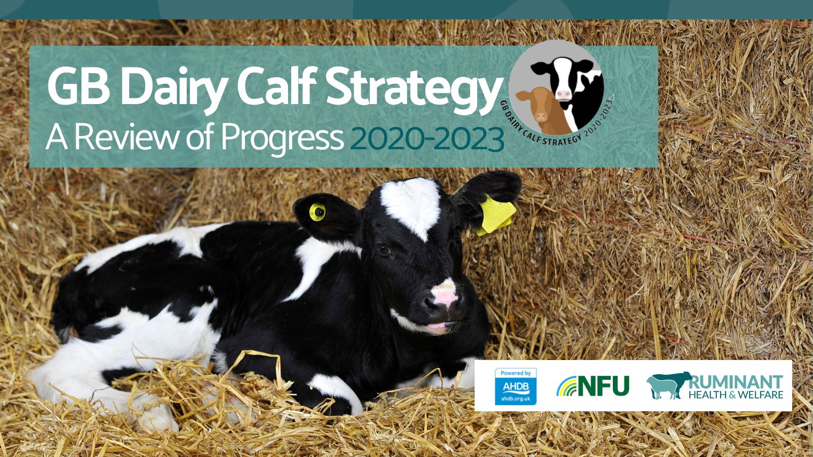 Joint industry initiative to improve the welfare of dairy calves shows ...