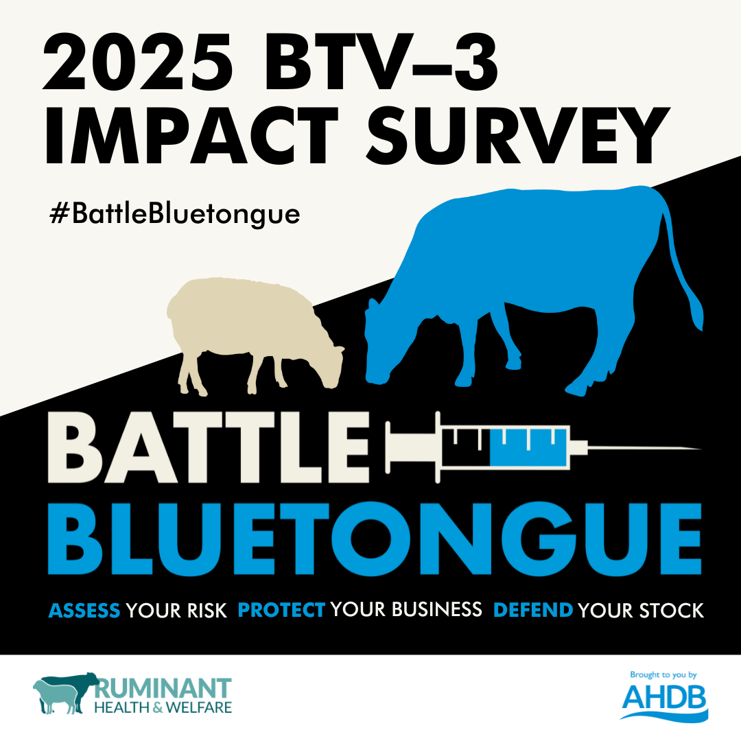 BTV-3 Impact Survey 2025 - Ruminant Health & Welfare